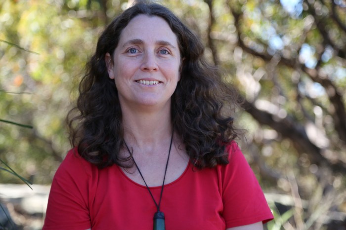 Virtual Issue: In Honour of Mark Westoby V