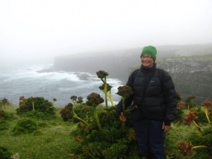 Virtual Issue: In Honour of Mark Westoby V