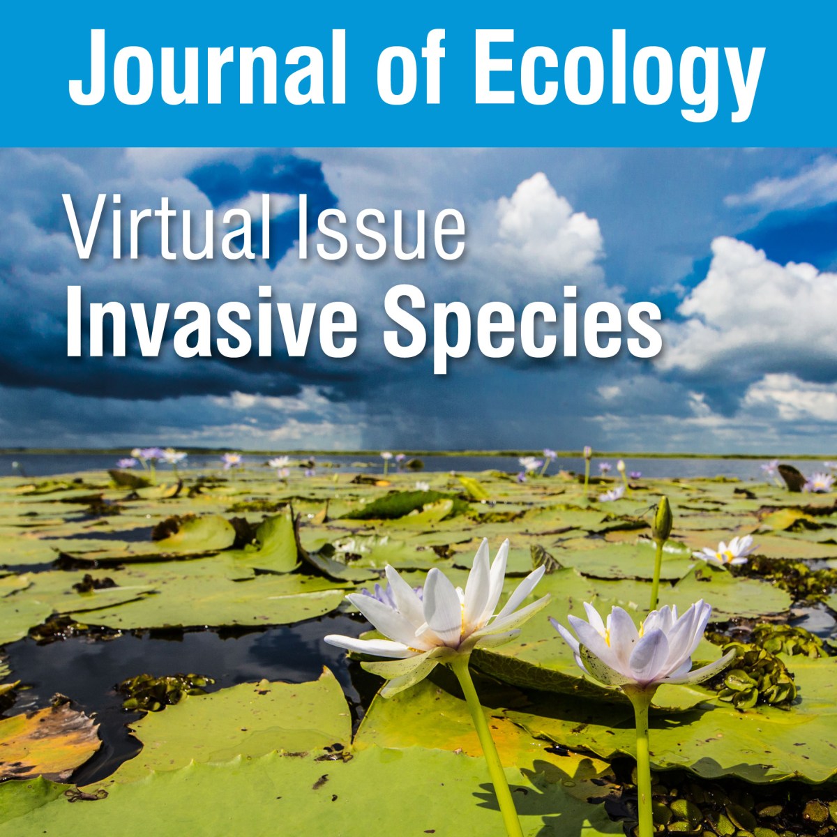 Invasive Species Week 2017 | Journal of Ecology Blog