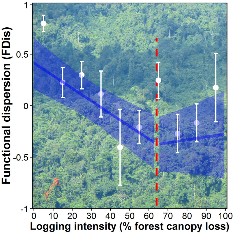 Logging of Borneo’s Rainforests: Impacts on Plant Communities