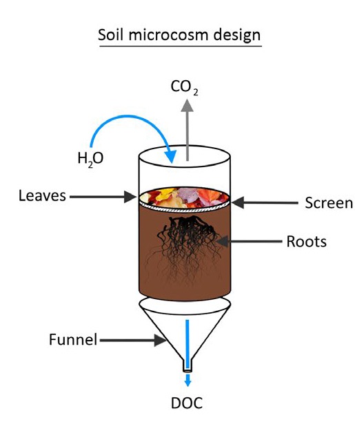 World Soil Day 2018