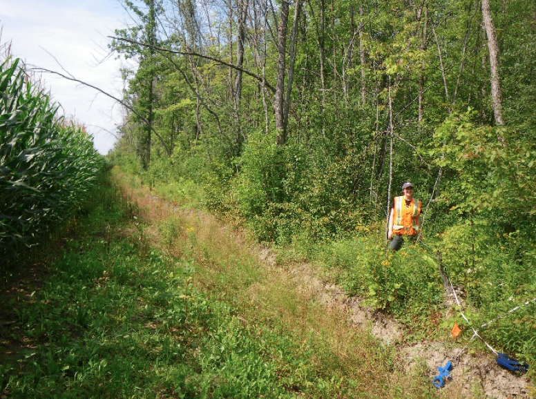 Does landscape context affect how forests change after ice storm damage?