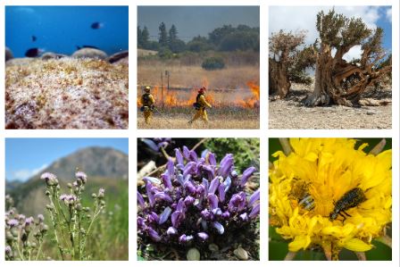 Transparent Peer Review At Journal Of Ecology