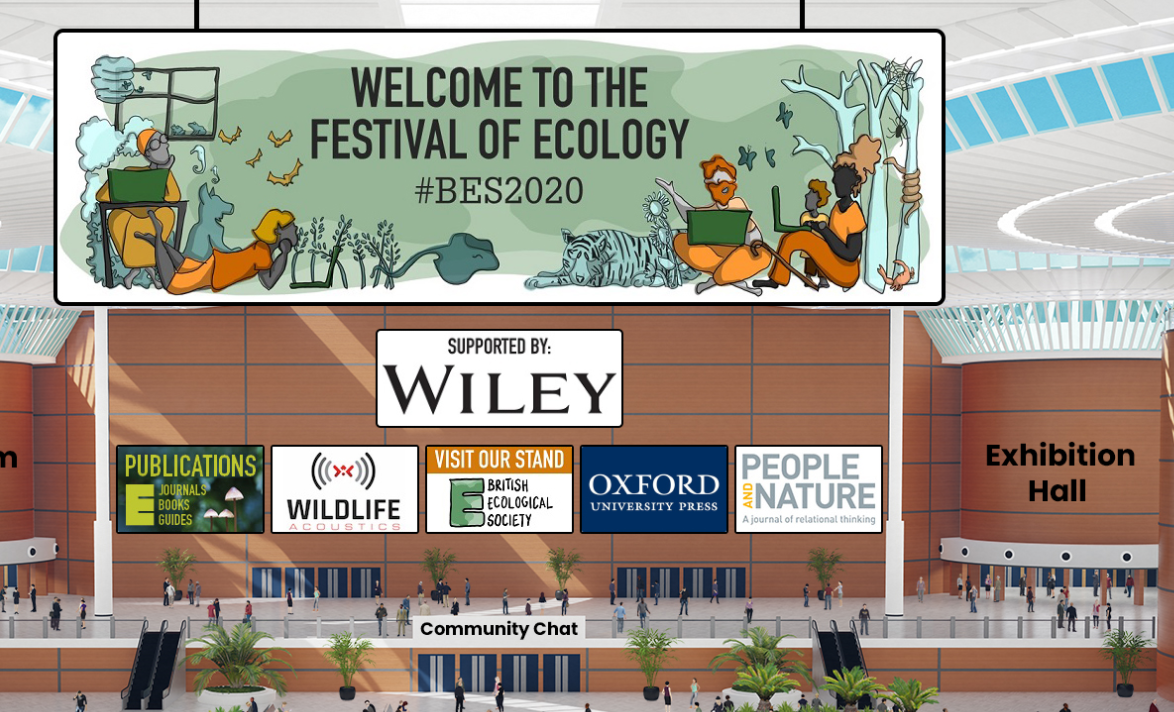 Reflections on the Festival of Ecology