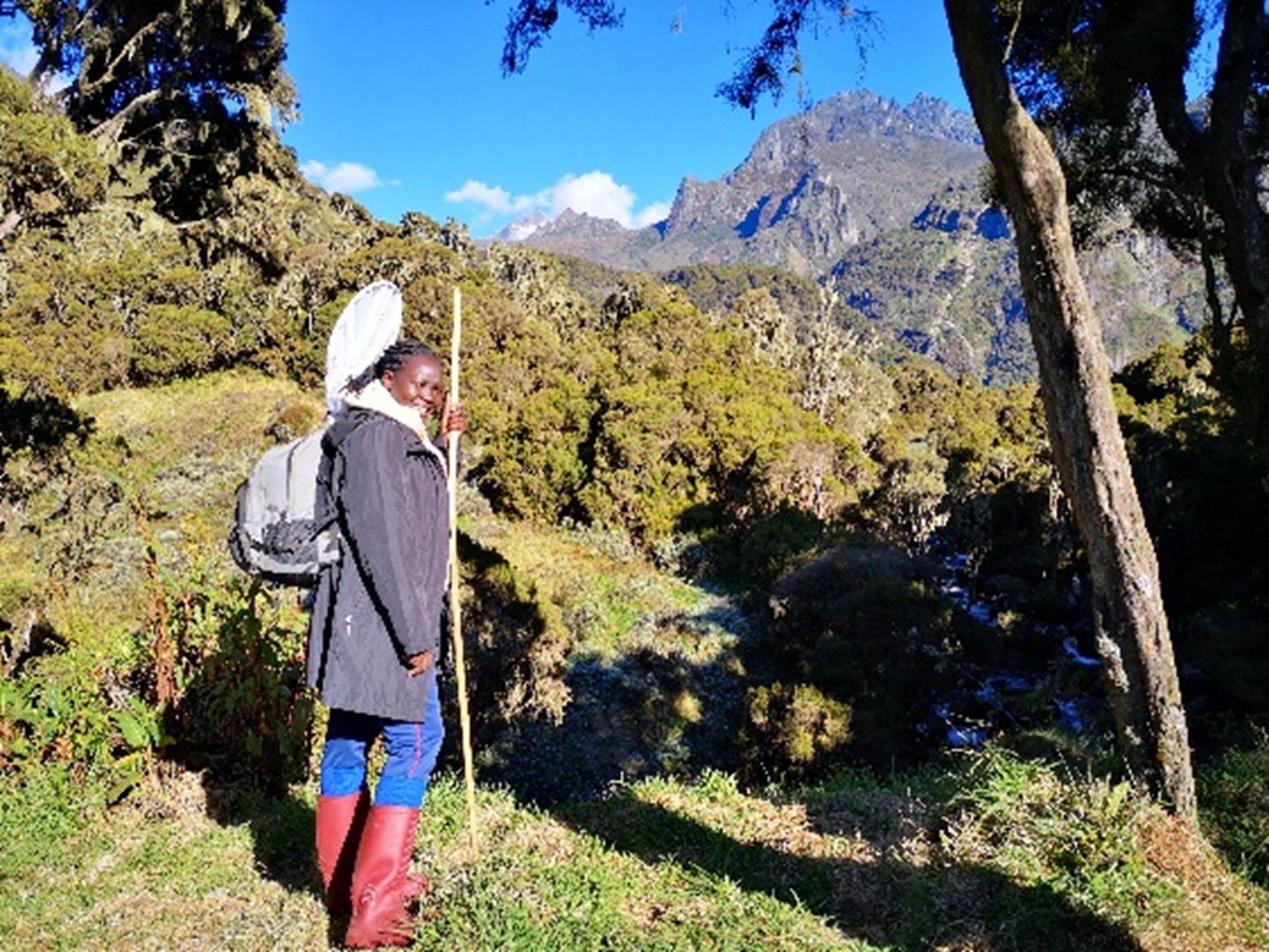 Diversity in Ecology | Journal of Ecology Blog