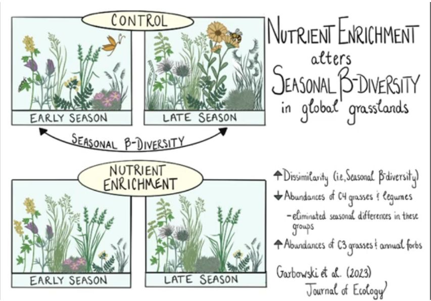 Nutrient enrichment alters seasonal β-diversity in global grasslands