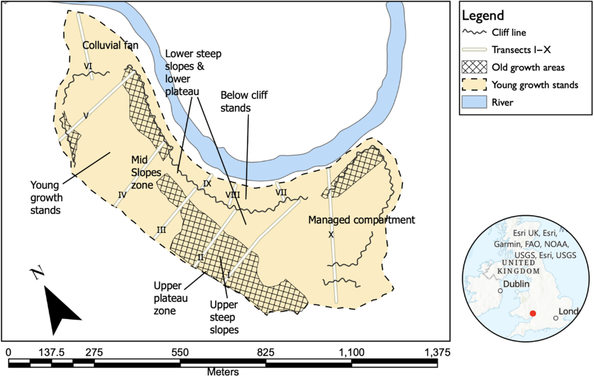 Editor’s Choice (111:10): What determines the severity of Ash Dieback ...