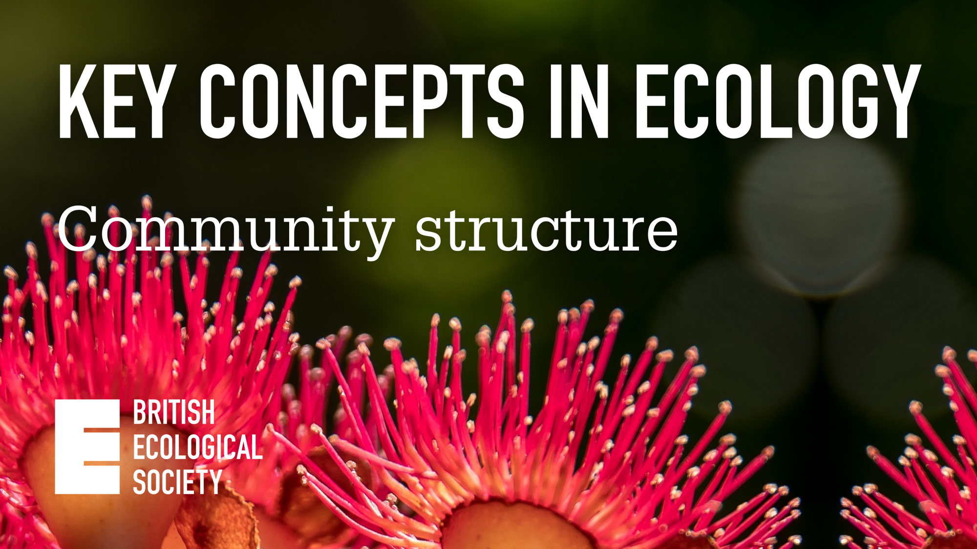 Key Concepts in Ecology: Ecosystem structure and energy flow