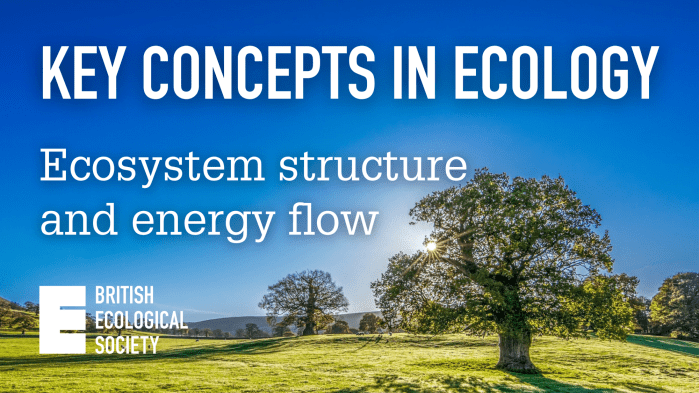 Key Concepts in Ecology: Community structure