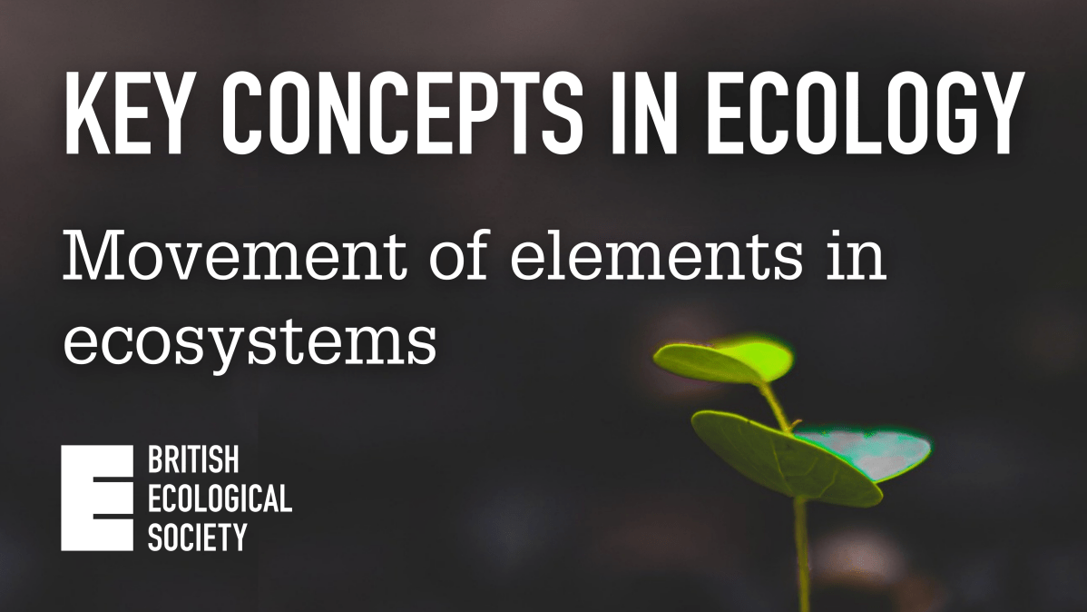 Key Concepts in Ecology: Movement of elements in ecosystems