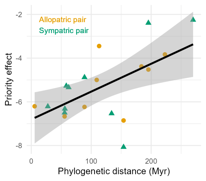Do Phylogenetic Relationships Influence Priority Effects in Grassland ...