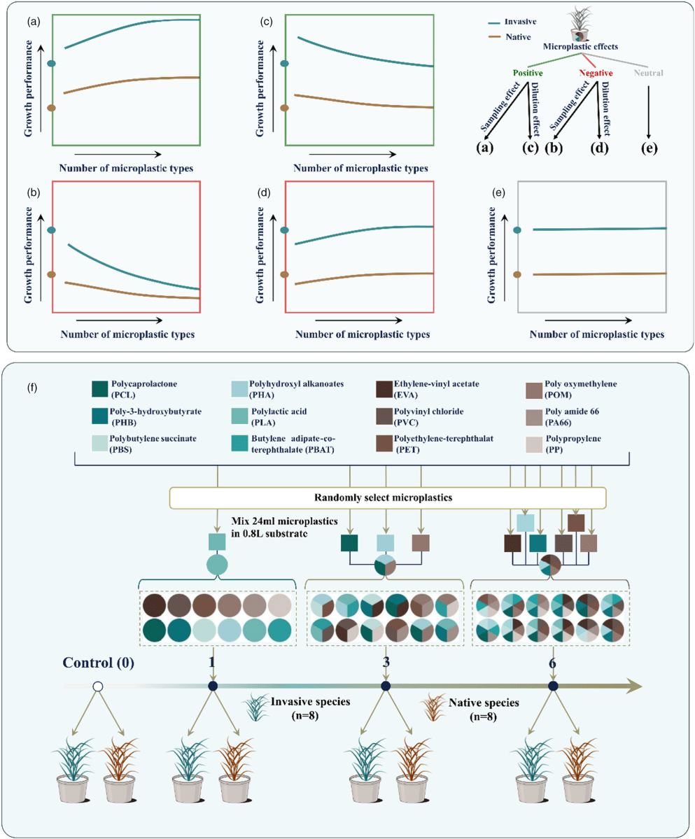 Editor’s Choice (112:07): The effects of microplastic pollution on ...