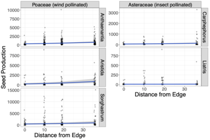 Understanding edge effects on seed production | – The News Intel