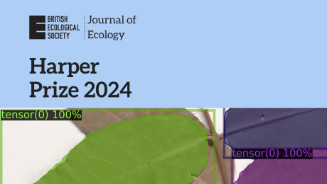 Announcing the 2024 Harper Prize Winner: Karina Guo